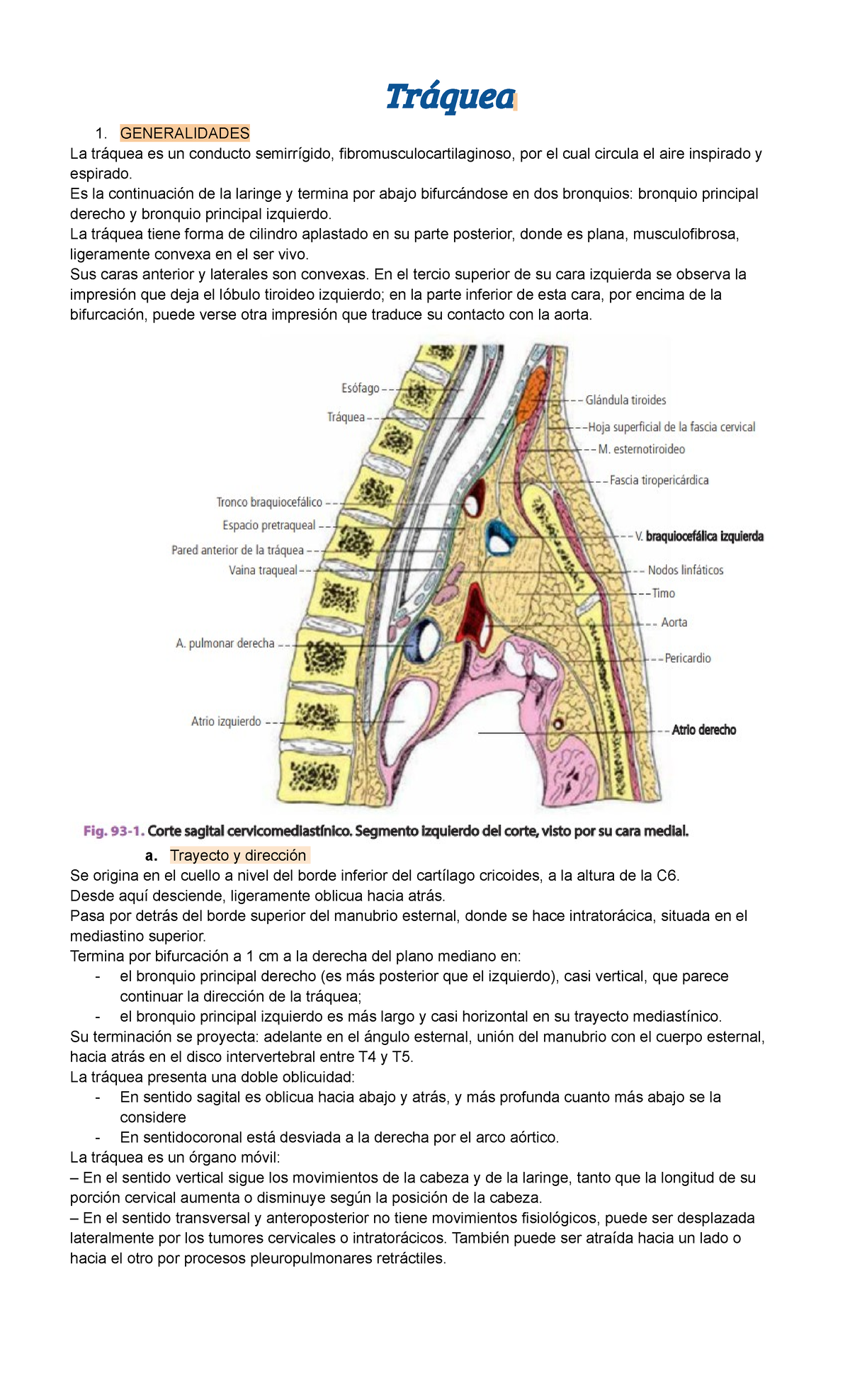 Tráquea - Latarjet cap. 93 - Tráquea 1. GENERALIDADES La tráquea es un ...