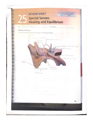 Anatomy of the reproductive system exercise 42 - EXERCISE 42 REVIEW ...