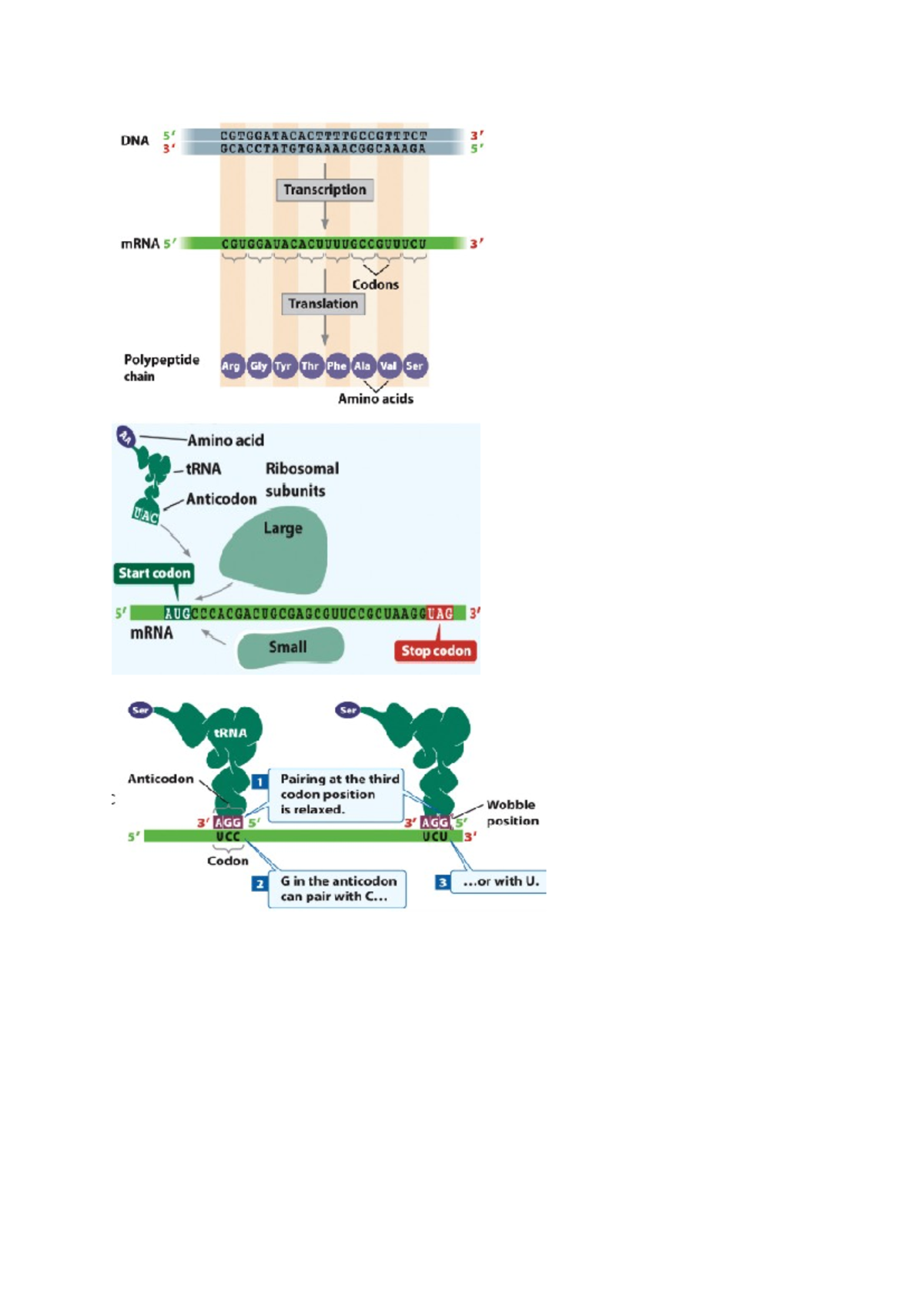GTS Print - GTS 251 - Studocu