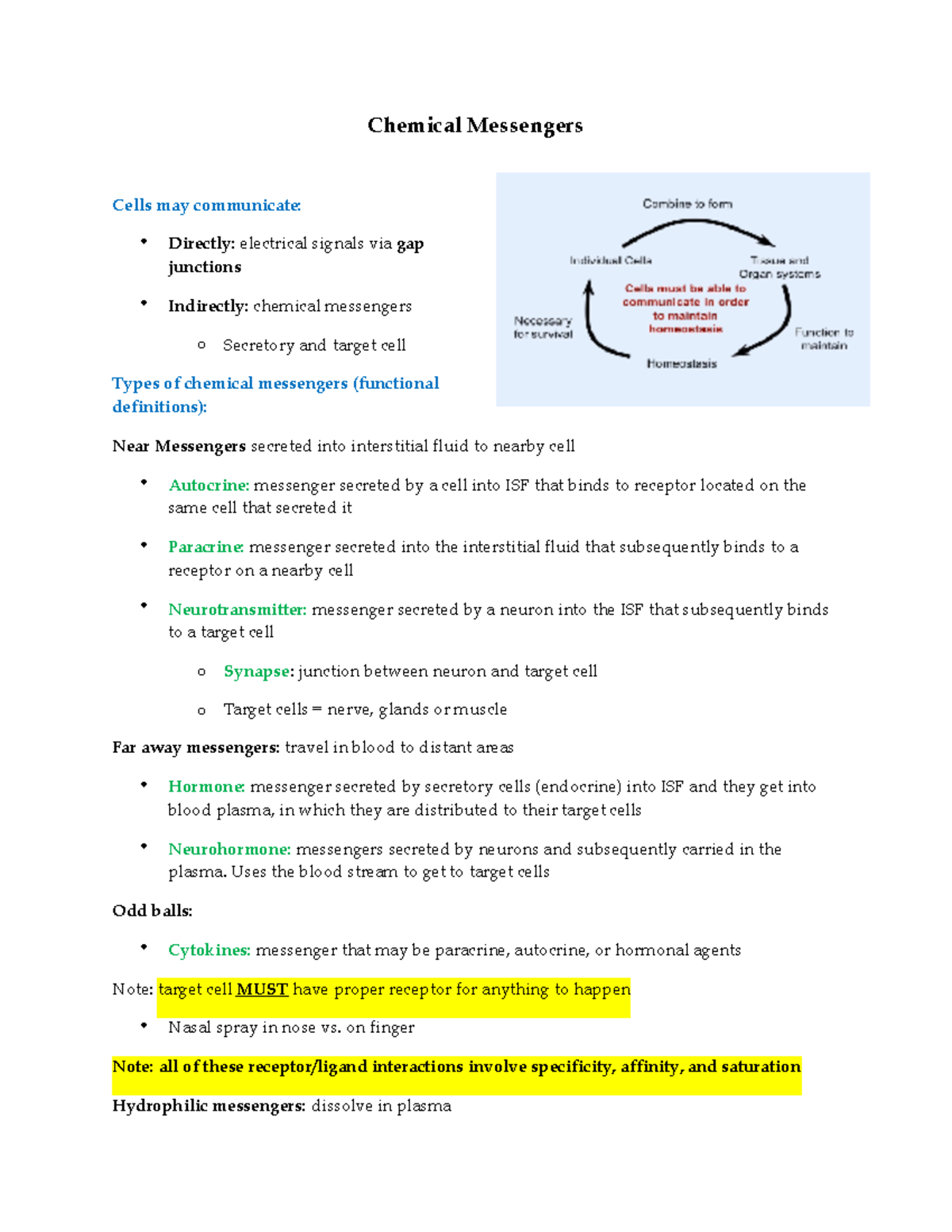 Chemical Messengers Notes - Chemical Messengers Cells may communicate ...