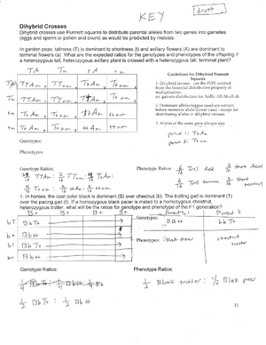 Project Management Solved MCQs [set-2] Mcq Mate.com - McqMate Project ...