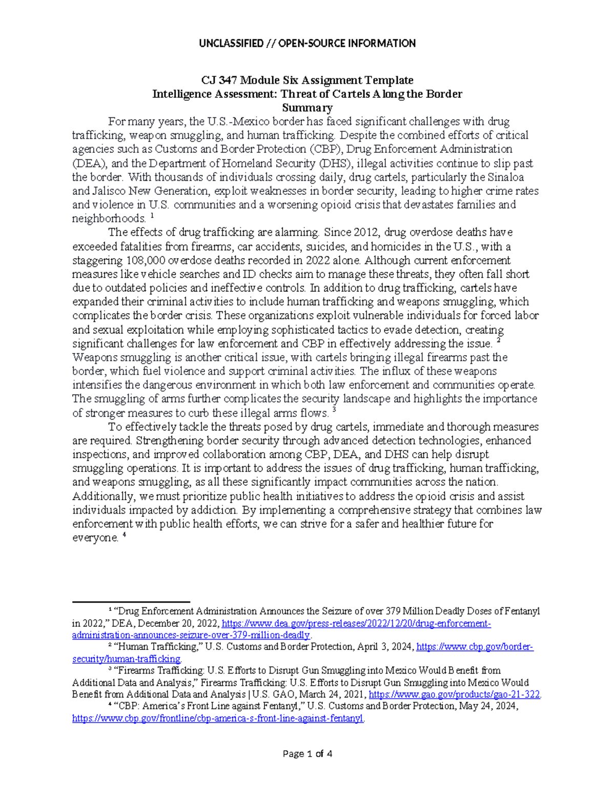 CJ 347 Module Six Assignment Template Final Draft - CJ 347 Module Six ...