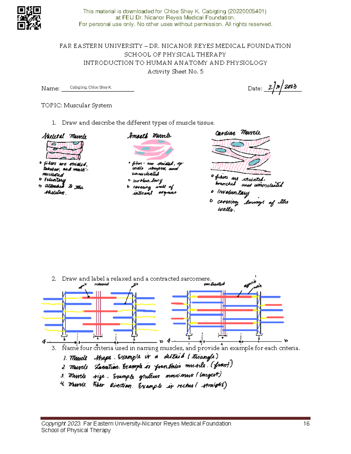 1a Cabigting Muscular System Copyright 2023 Far Eastern University Nicanor Reyes Medical