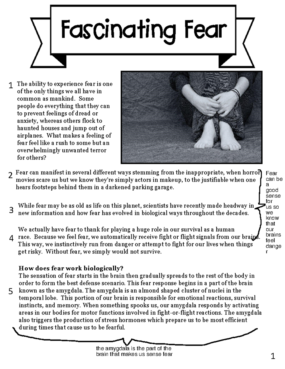 Fascinating fear pasage and questions pdf - ENG 4 - CSI - Studocu