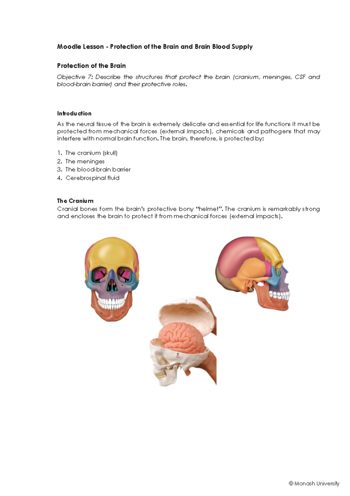 Week 4 Lesson - Weekly content that covers content on a weekly bases ...