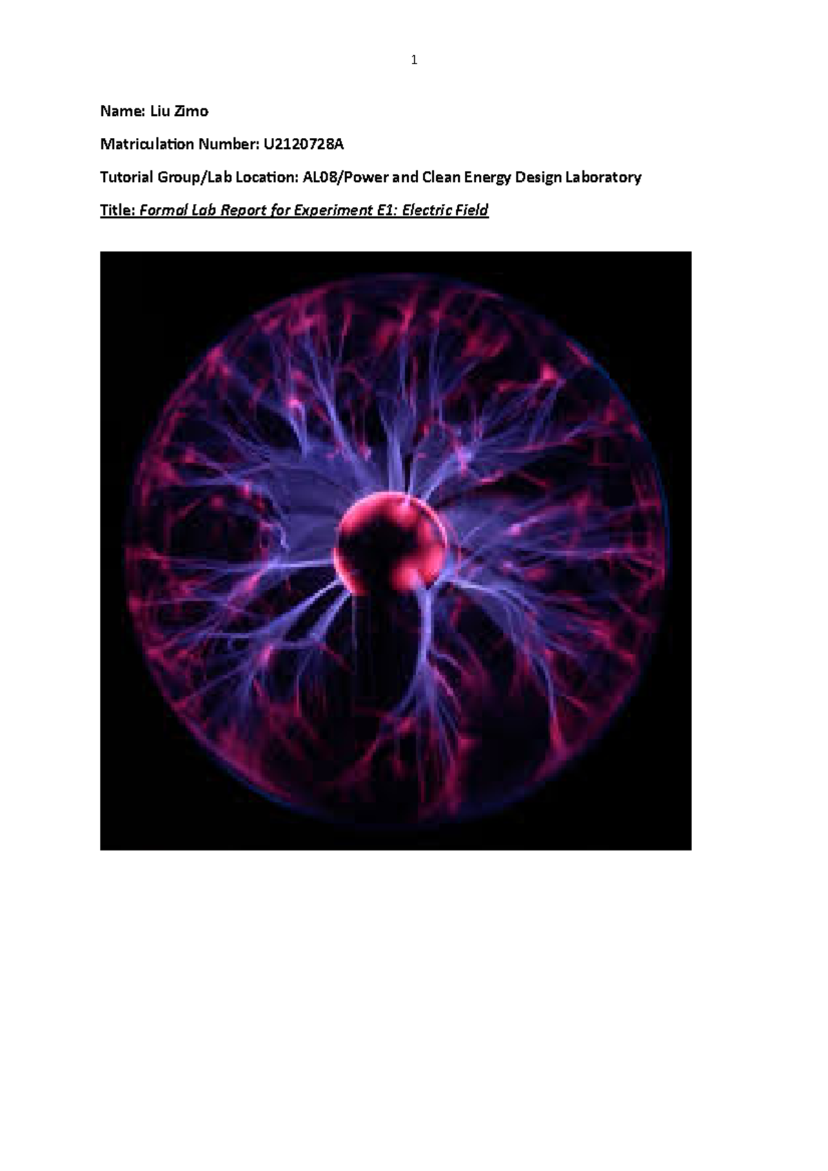 Lab Report - nil - Name: Liu Zimo Matriculation Number: U2120728A ...