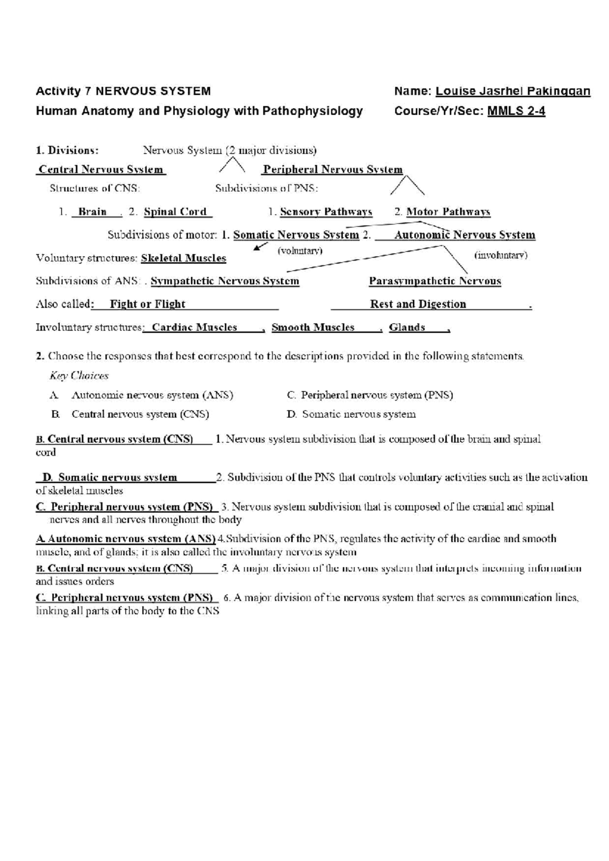 Nervous-System-Lab-Activity page-0001 HUMAN ANA - MATHII - Studocu