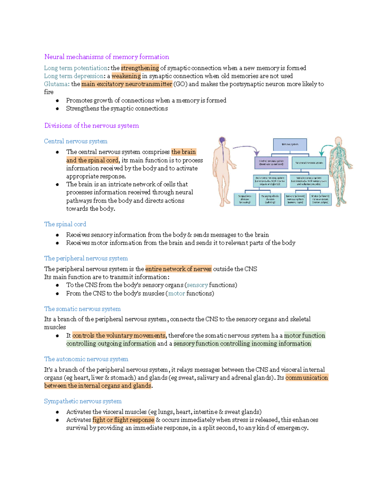 U3AOS1 summary - Neural mechanisms of memory formation Long term ...