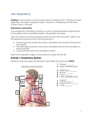 Lab Micro Hist - homework - Lab: Microscopes and Histology Grading: Divide number incorrect by ...