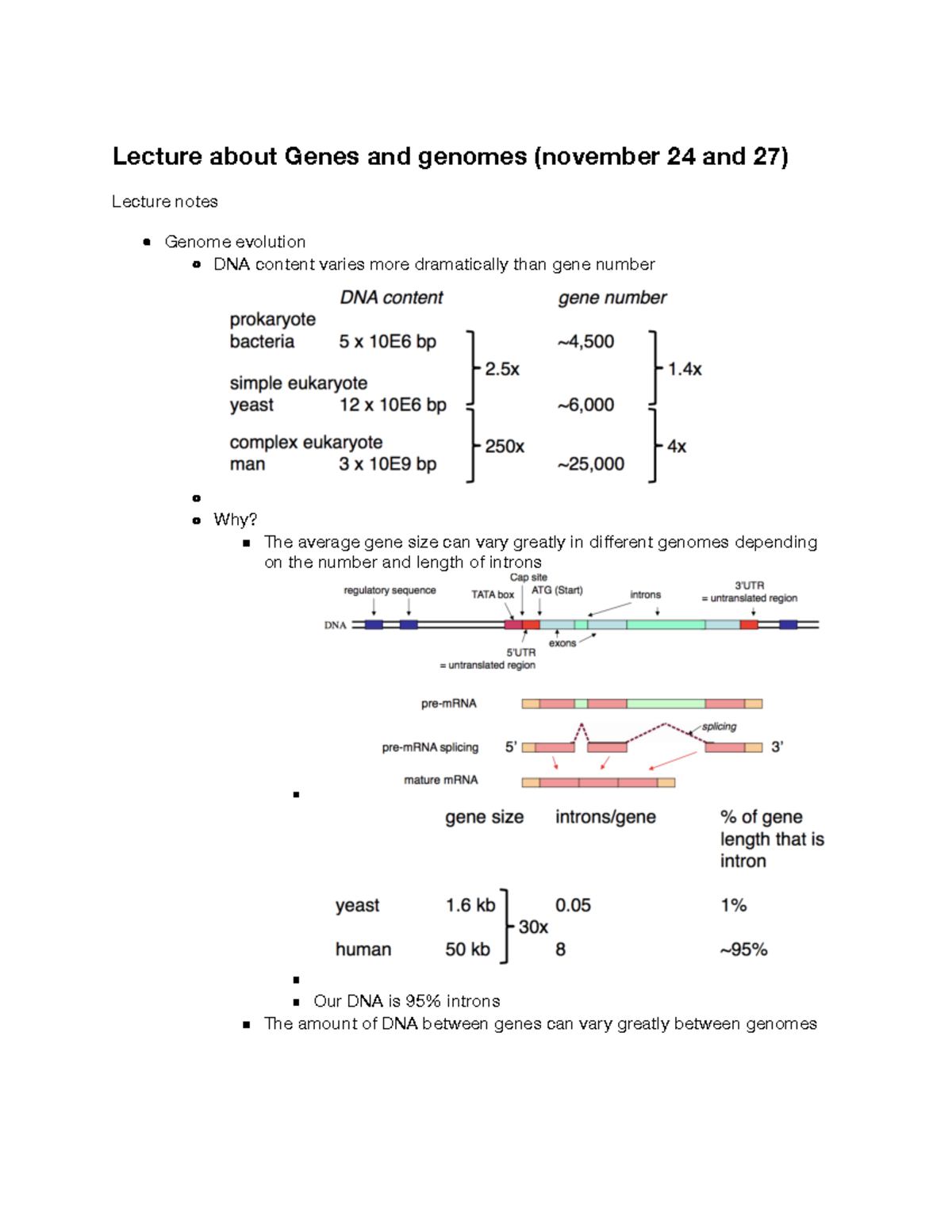 Genes and genome notes - Lecture about Genes and genomes (november 24 ...