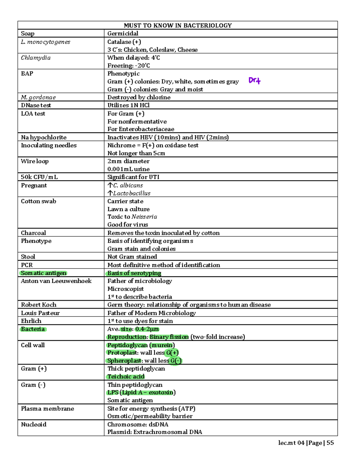 MUST TO KNOW IN Bacteriology - MUST TO KNOW IN BACTERIOLOGY Soap ...
