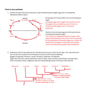 0 Intro to flipped class and natural selection Worksheet - BSC 2011 ...