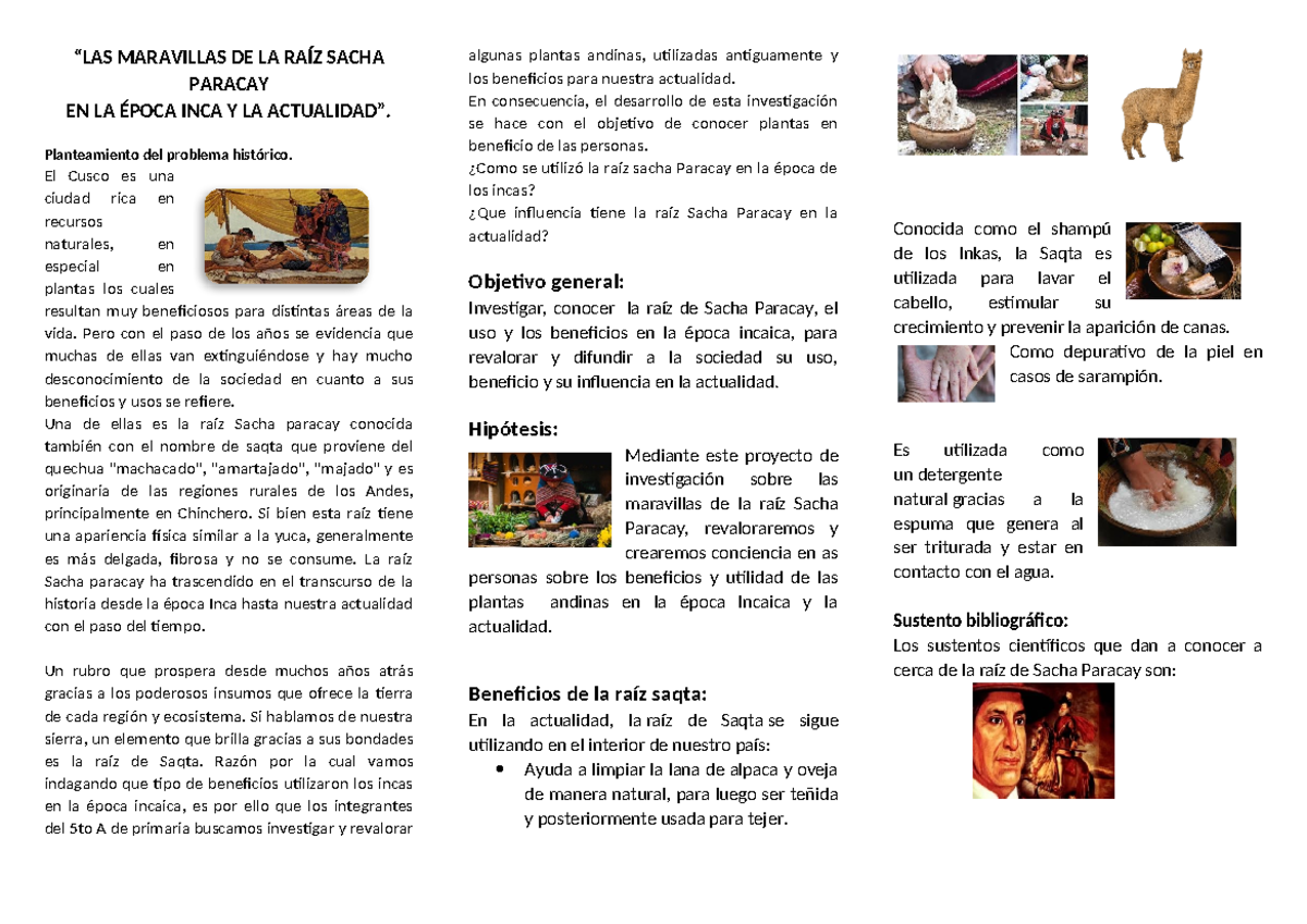 Triptico Conquista - tritico - “LAS MARAVILLAS DE LA RAÍZ SACHA PARACAY ...