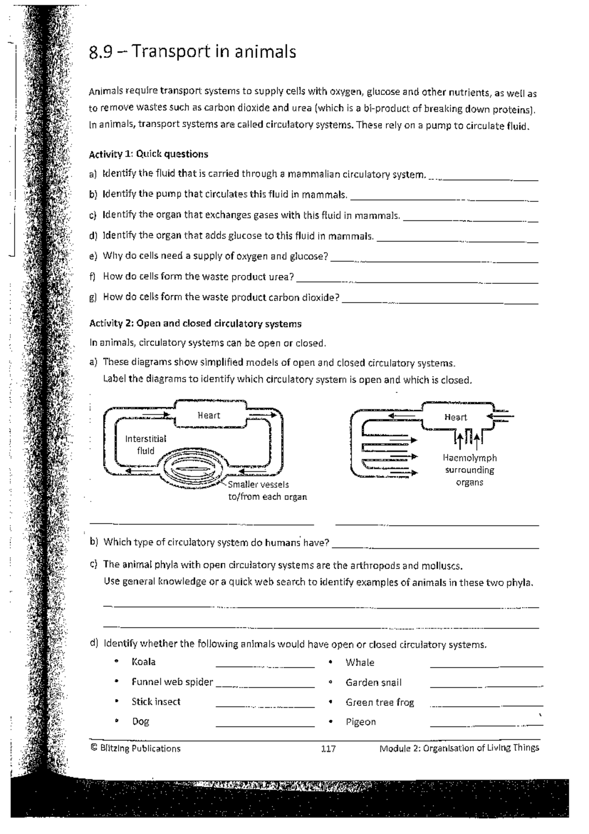 BB transport in animals - 8 Transport in animals Animals require ...