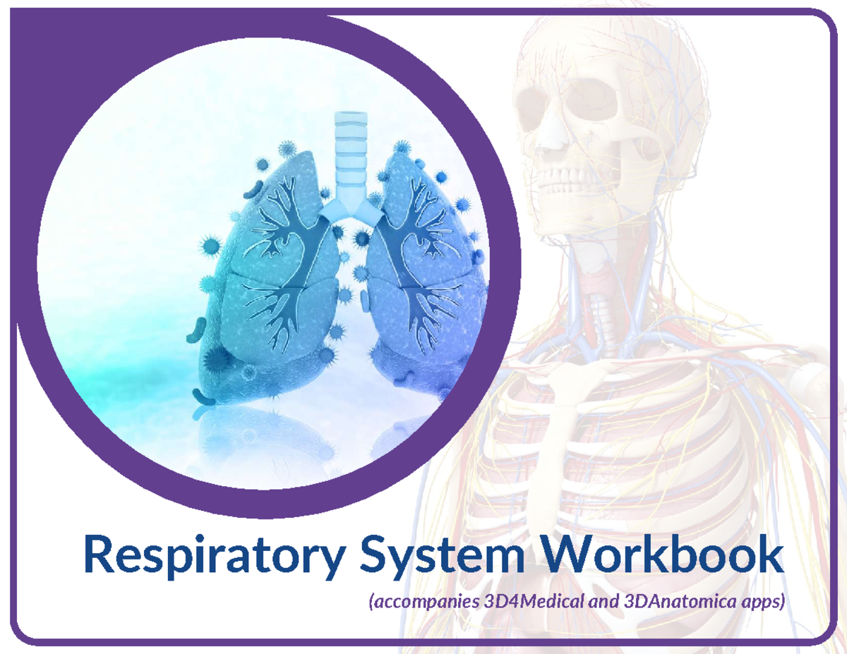 Humane science human respiratory student workbook - Respiratory System ...