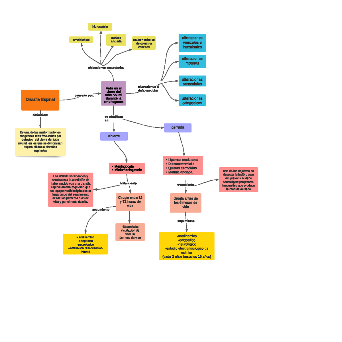Mapa conceptual - Ningúna - Disrafia Espinal Falla en el cierre del ...