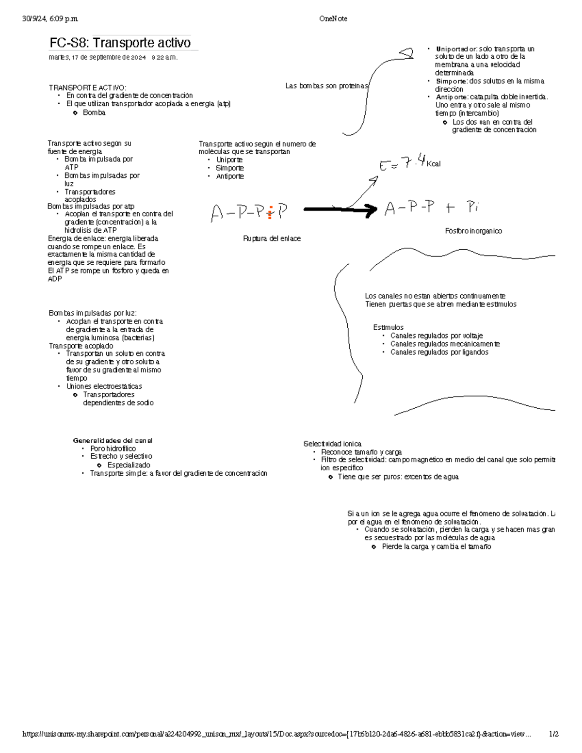 Transporte activo - FC-S8: Transporte activo martes, 17 de septiembre ...