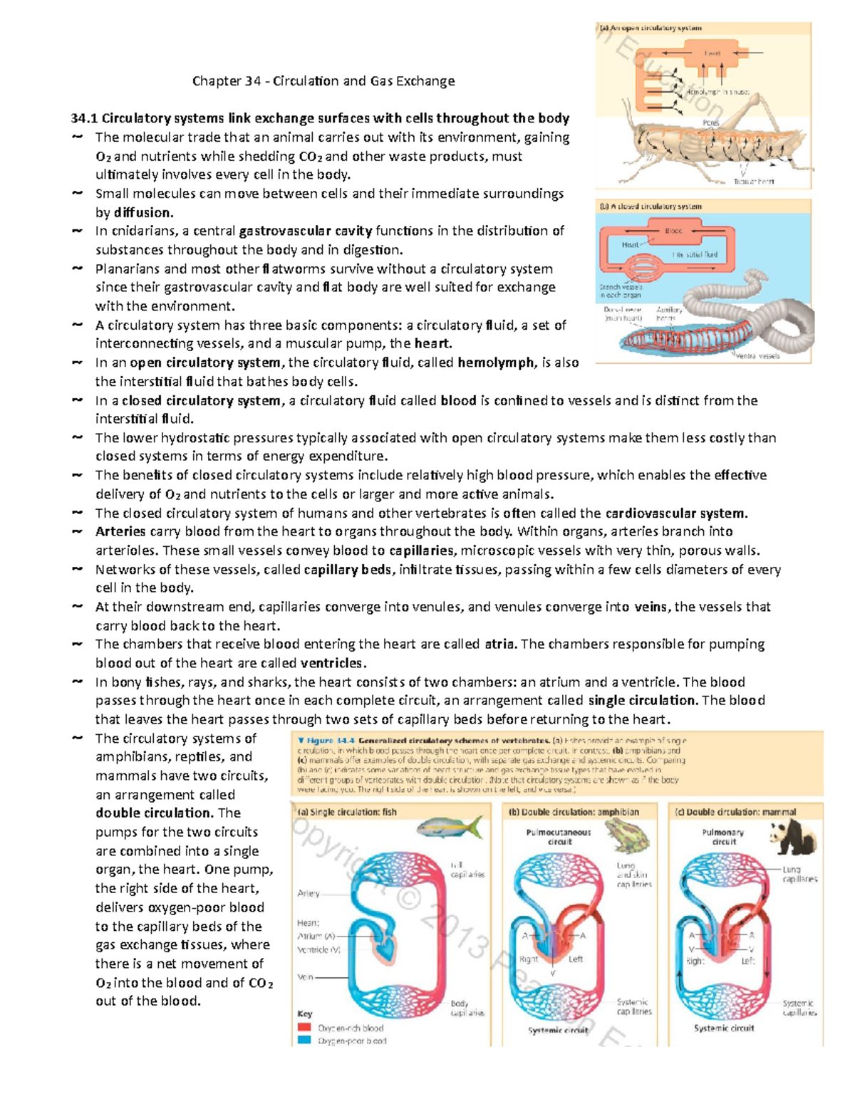 Chapter 34 - Circulation and Gas Exchange - Chapter 34 - Circulation ...