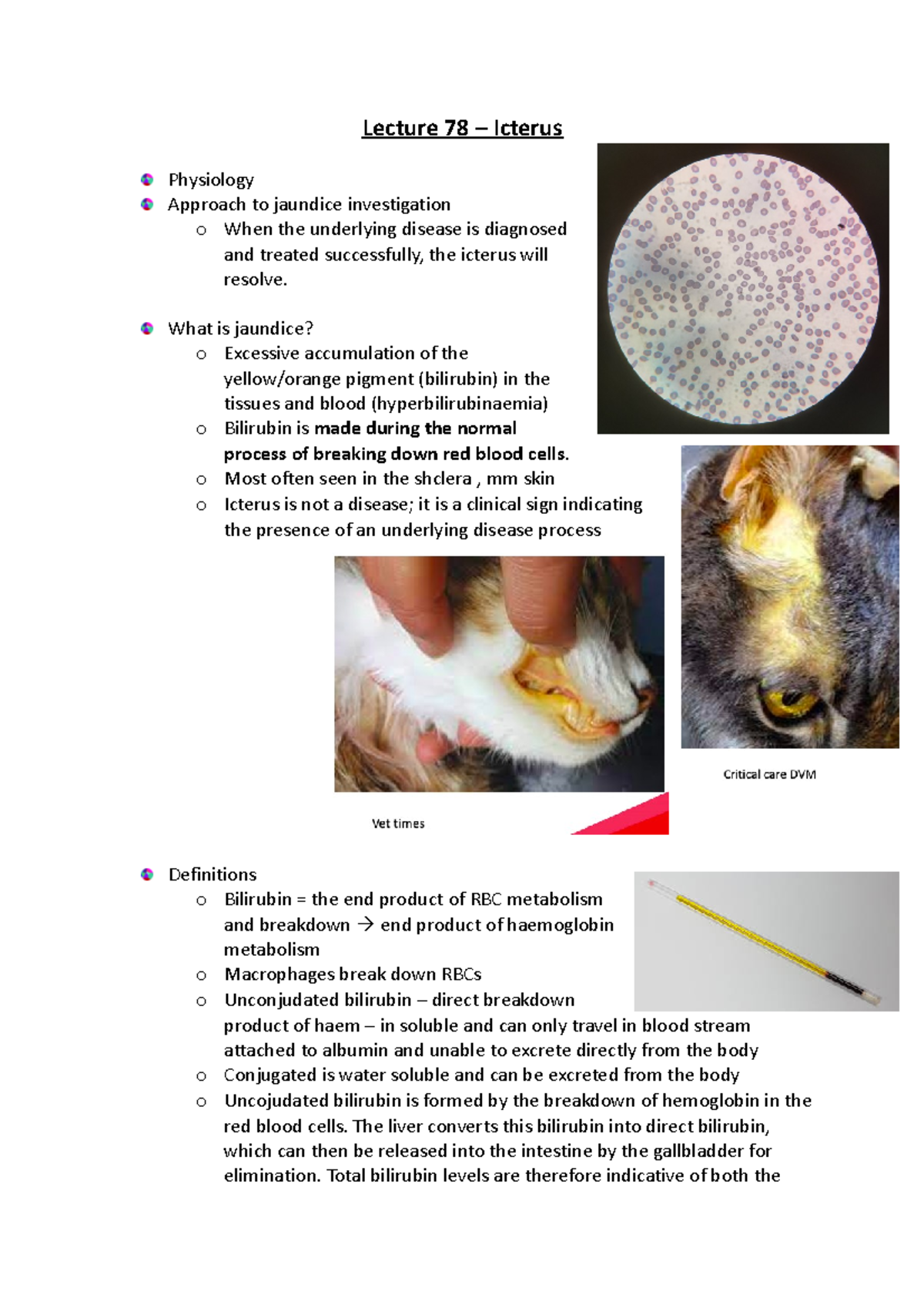 Lecture 78 – Icterus - Lecture 78 – Icterus Physiology Approach to ...