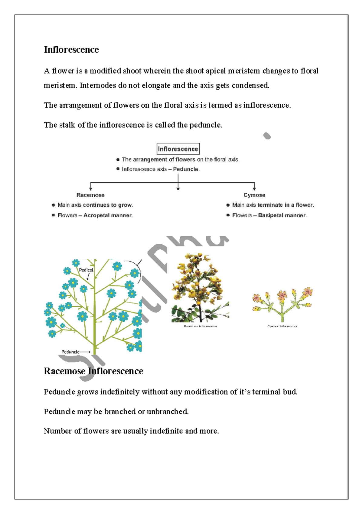 Morphology In flowerin plants (Inflorescence) - Inflorescence A flower is a modified shoot ...