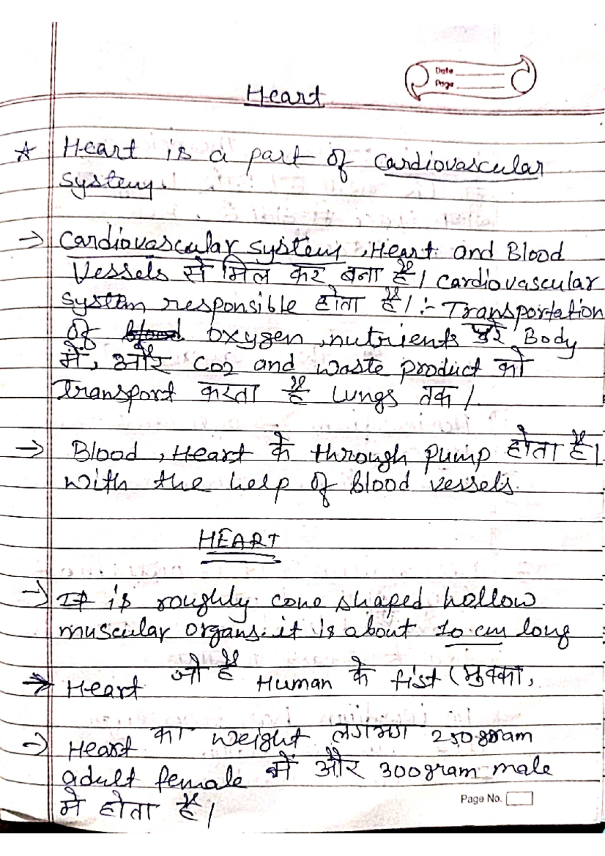 Heart document - Date Page Heart A Heart is a part of cardiovascular ...