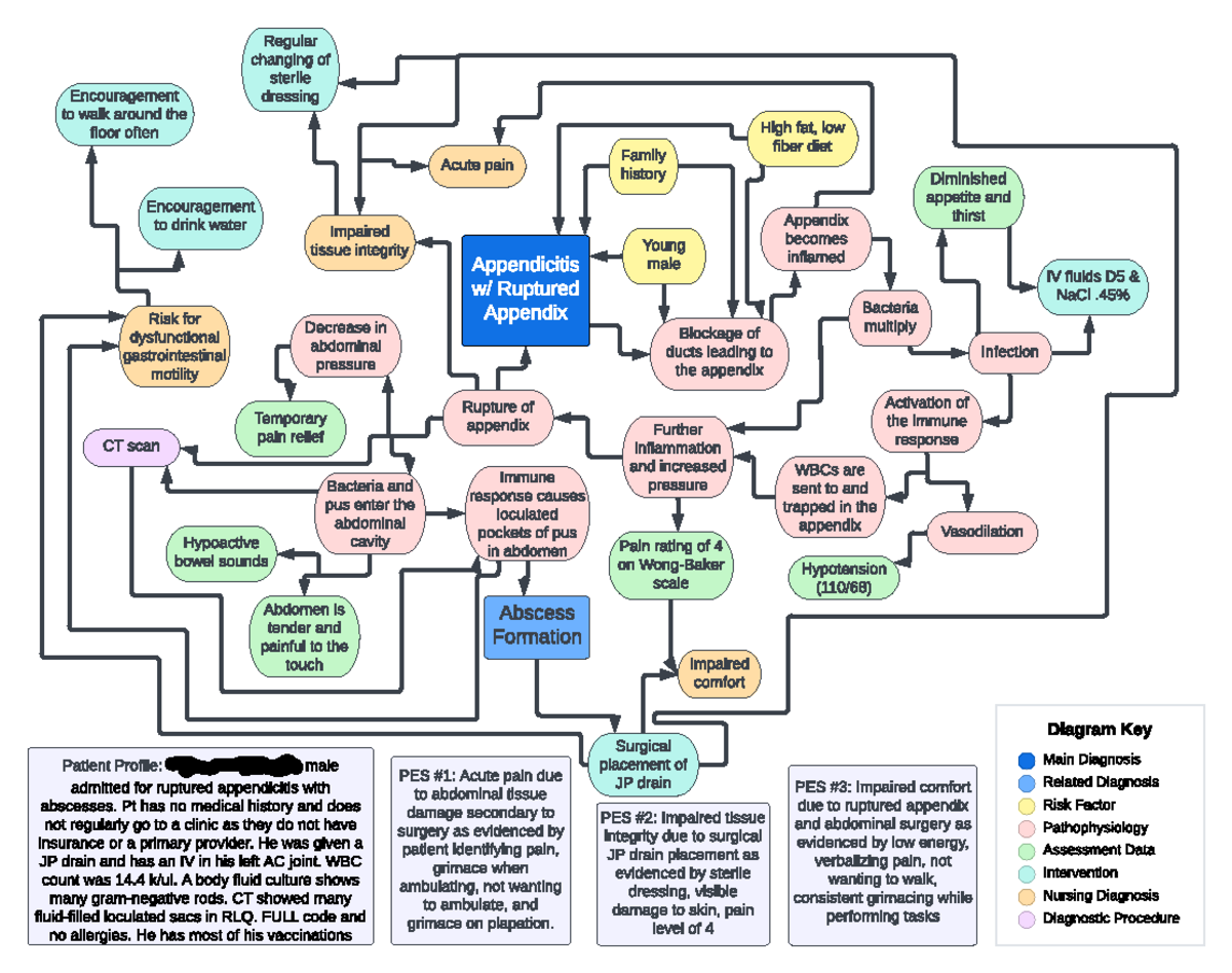 Peds Pathodiagram - Appendicitis w/ Ruptured Appendix Blockage of ducts ...