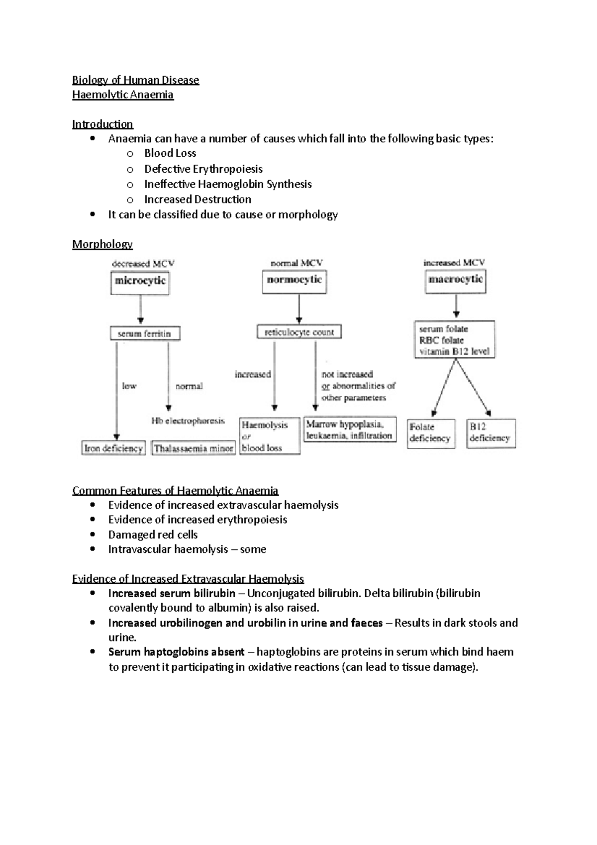 Haemolytic Anaemia - Lecture notes 1 - Biology of Human Disease ...