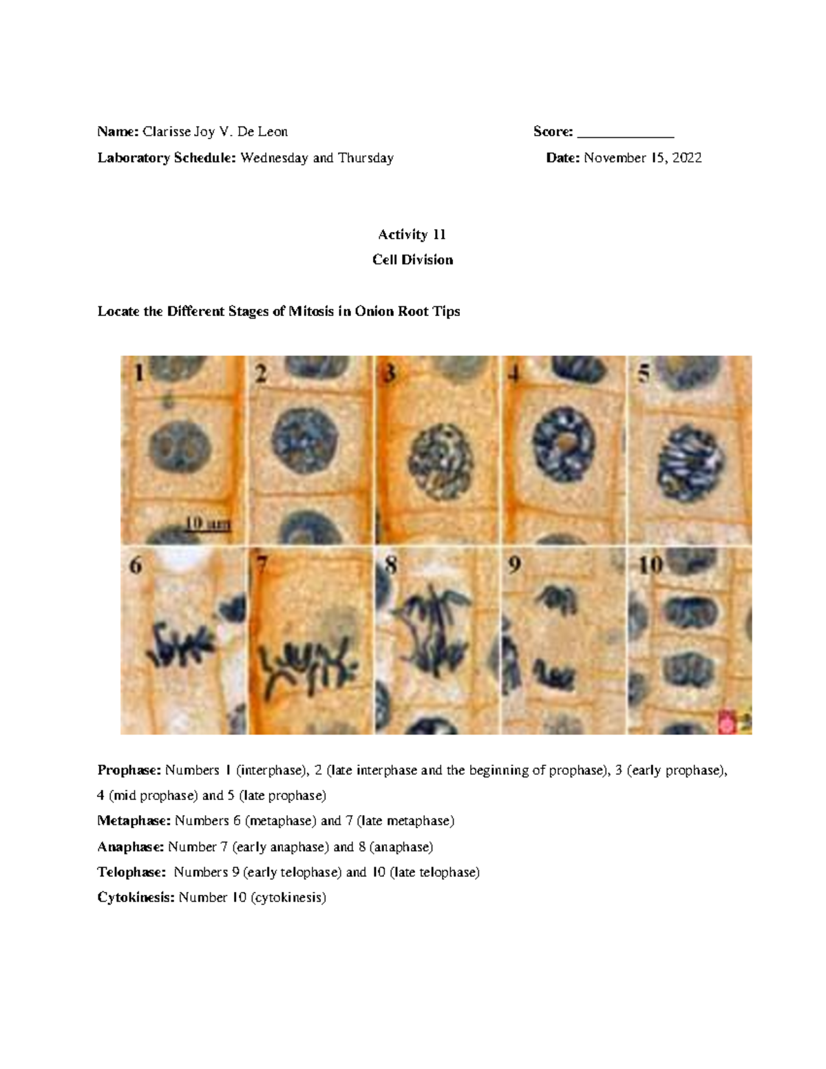 Clarisse Joy V. De Leon (Activity 11 - Cell Division) - Name: Clarisse ...