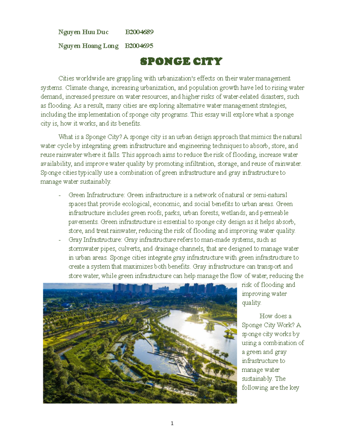 Essay Sponge City - Thành phố bọt biển - Nguyen Huu Duc B Nguyen Hoang ...
