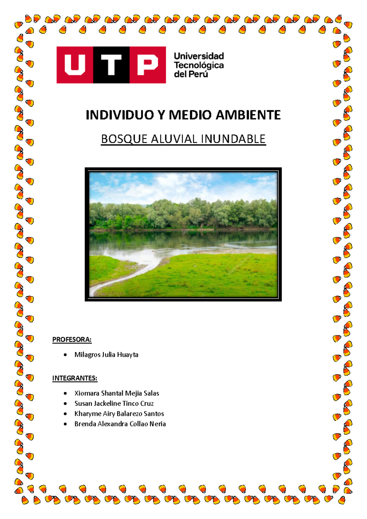 Individuo Y Medio Ambiente - Portafolio I - INDIVIDUO Y MEDIO AMBIENTE ...