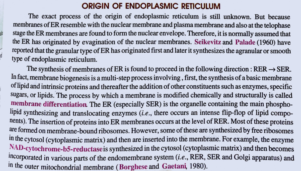 Drigin Of Endoplasmic Reticulum - ORIGIN OF ENDOPLASMIC RETICULUM The ...