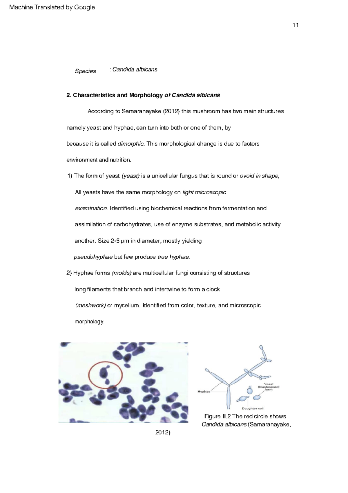 Nursing-292 - Task - assimilation of carbohydrates, use of enzyme ...