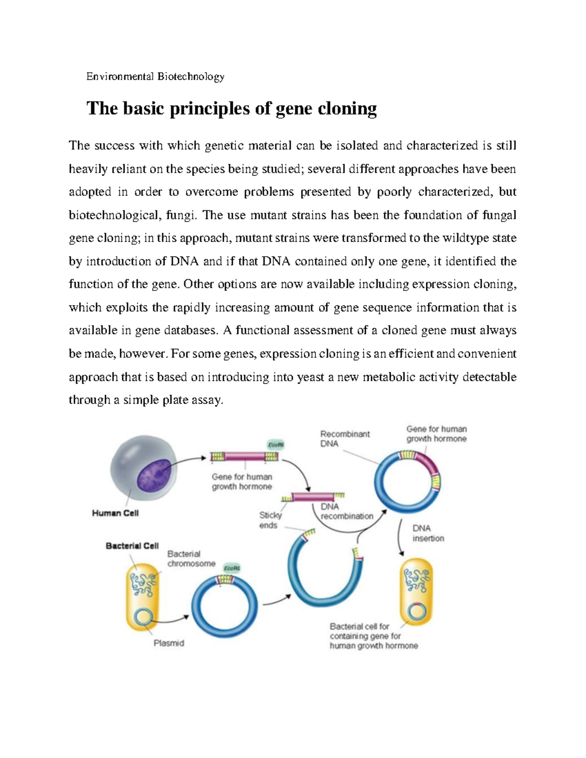 The basic principles of gene cloning - Environmental Biotechnology The basic principles of gene ...