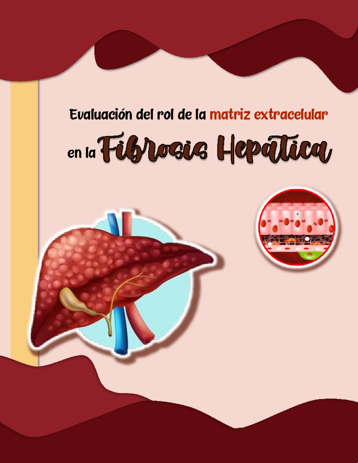 Fibrosis hepatica - Evaluación del rol de la matriz extracelular en la ...