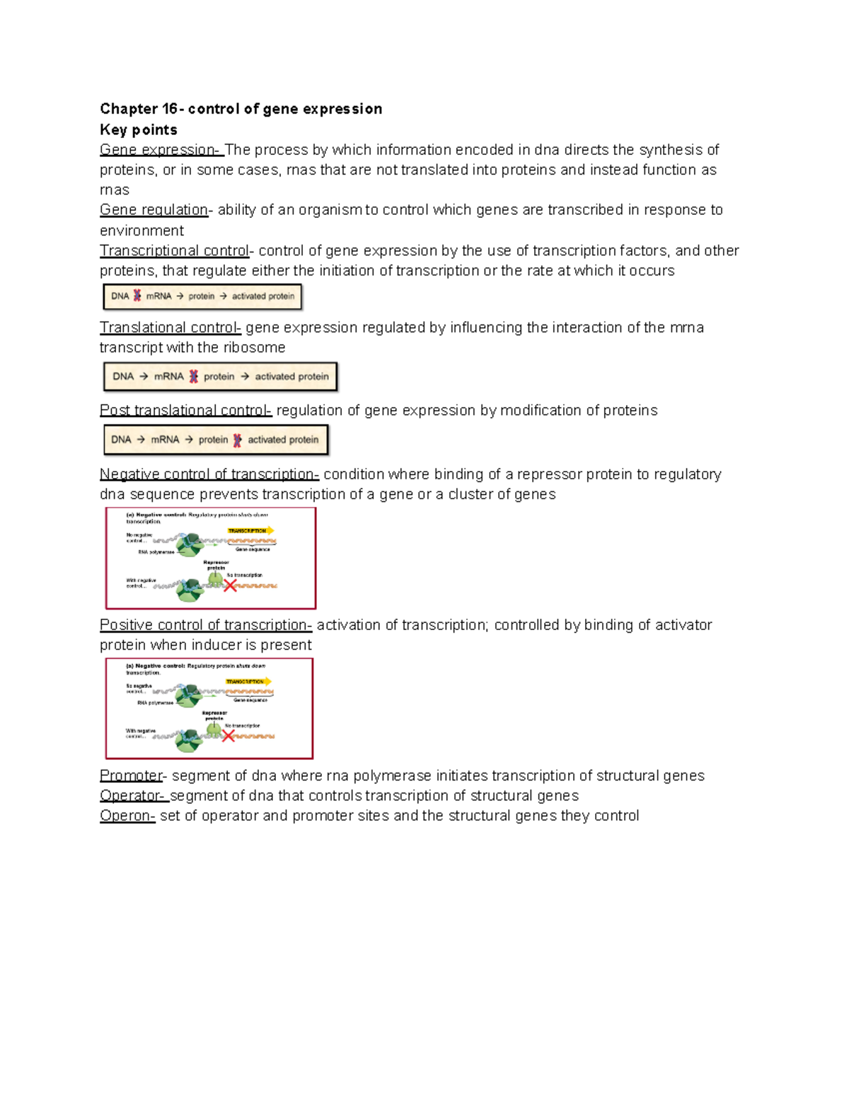 Bio Ch 16 review - overview/summary of the notes from bio 130 chapter ...