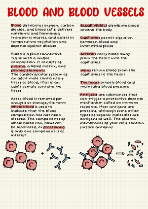 Skeletal system - STORAGE OF MINERALS- the calcium salts of bone ...