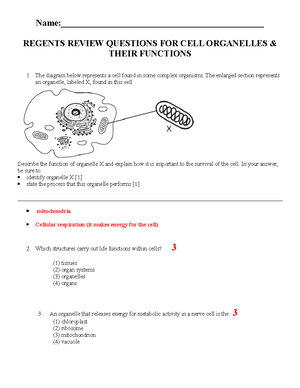 Biology-placement-test - BIO PLACEMENT TEST REVIEW QUESTIONS Review 1 ...