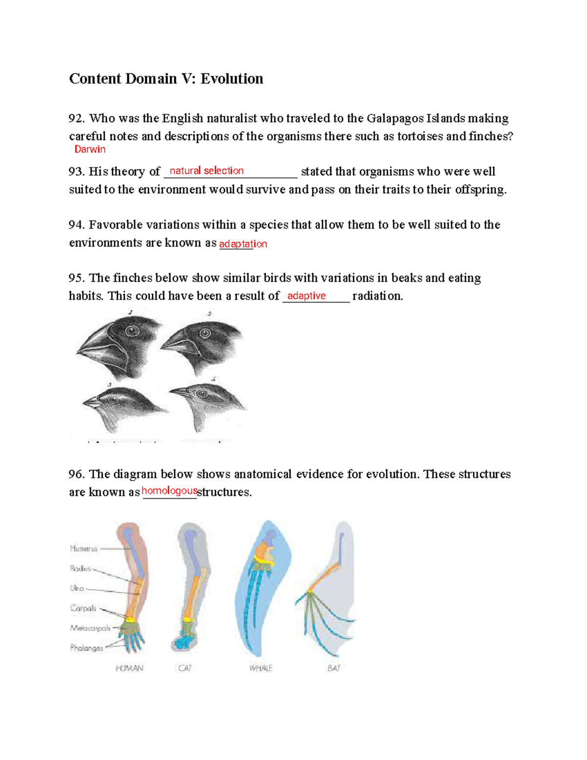 Kami Export - Efrain Cruz - Copy of Biology EOC Study Guide Domain 5 ...