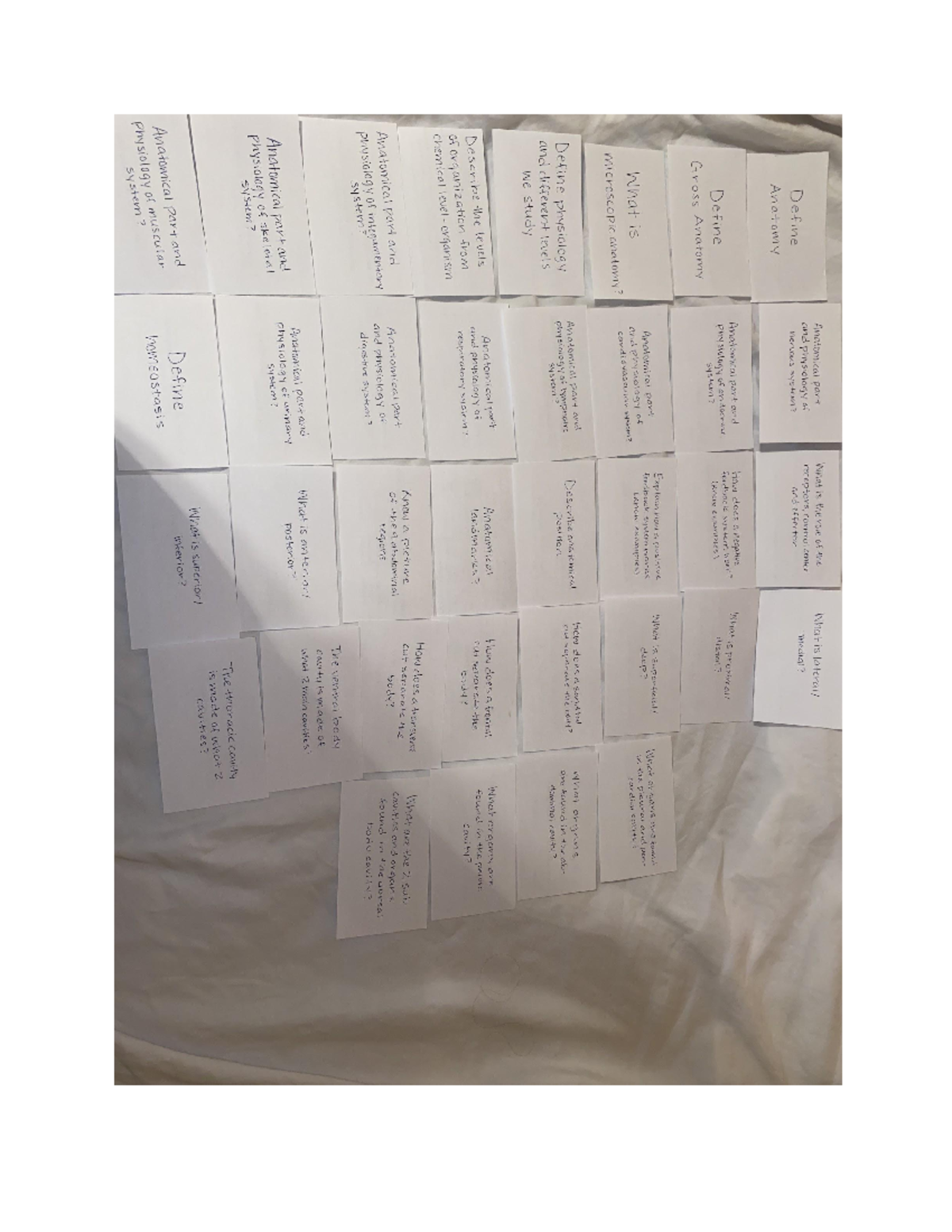 Unit 1 flash cards - KNES 210 - Studocu