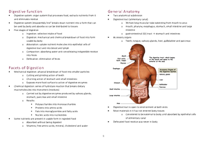 Gastrointestinal Examination AND History Format OSCE - Gastrointestinal ...