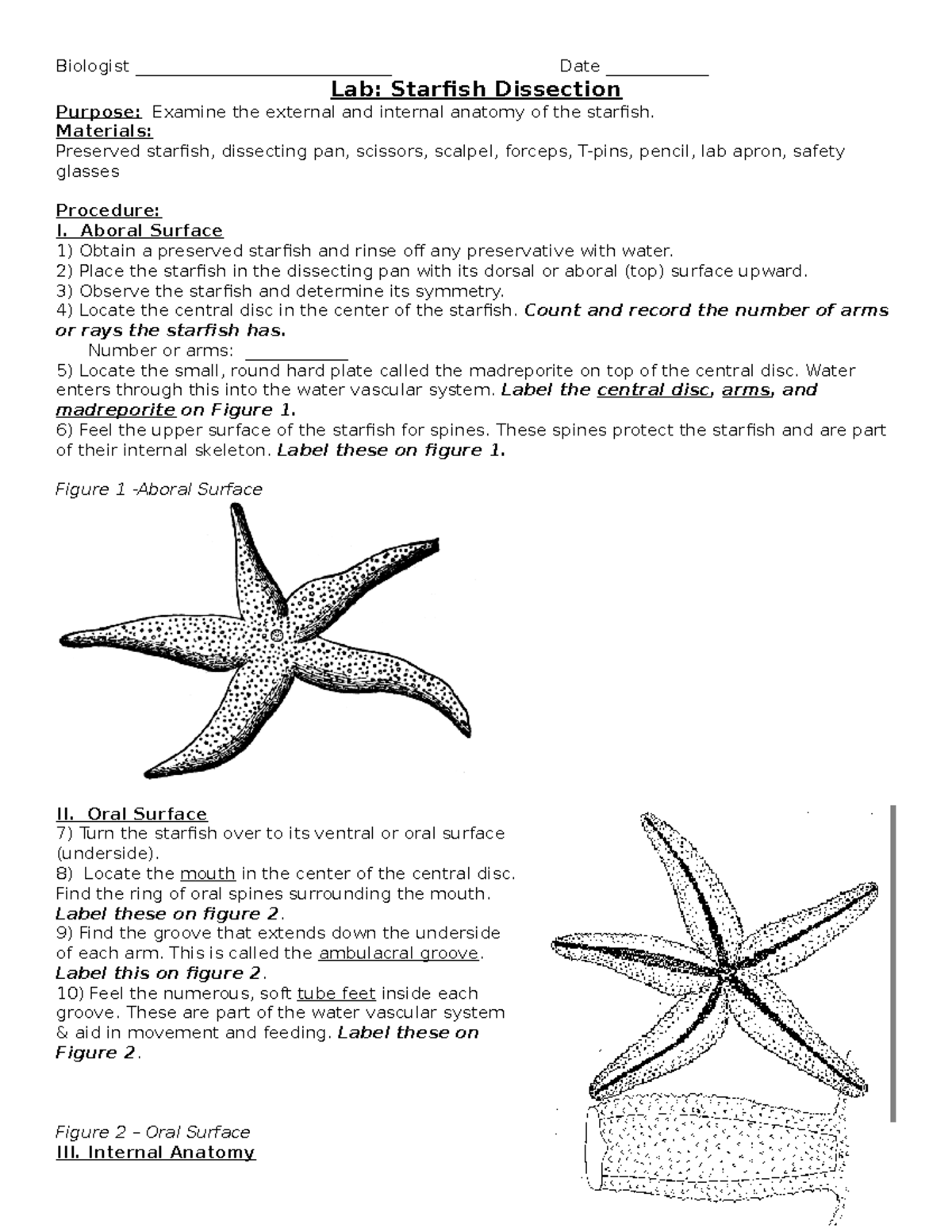 Starfish Dissection Steps Biologist 
