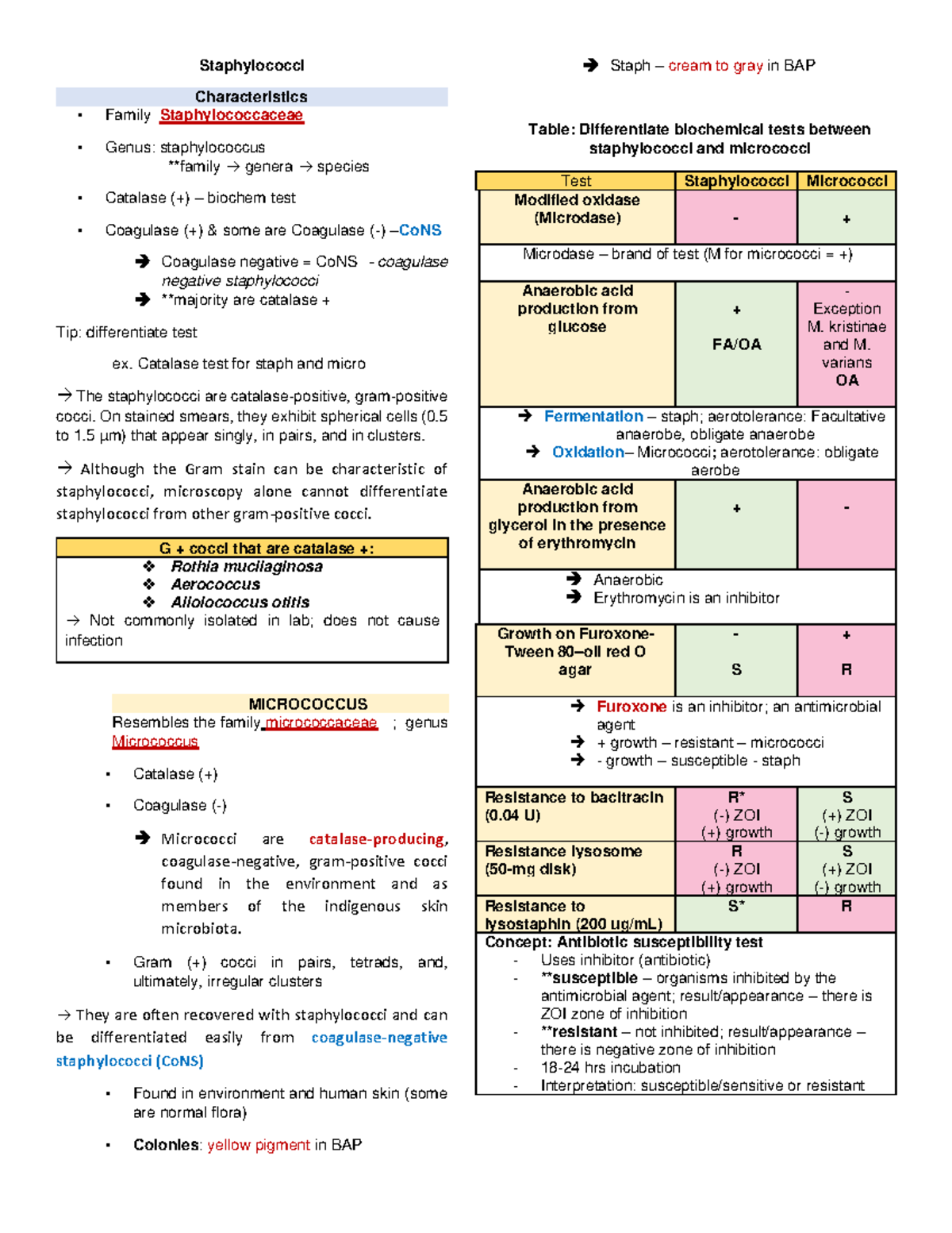 Bacteriology - Staphylococci - Staphylococci Characteristics Family ...