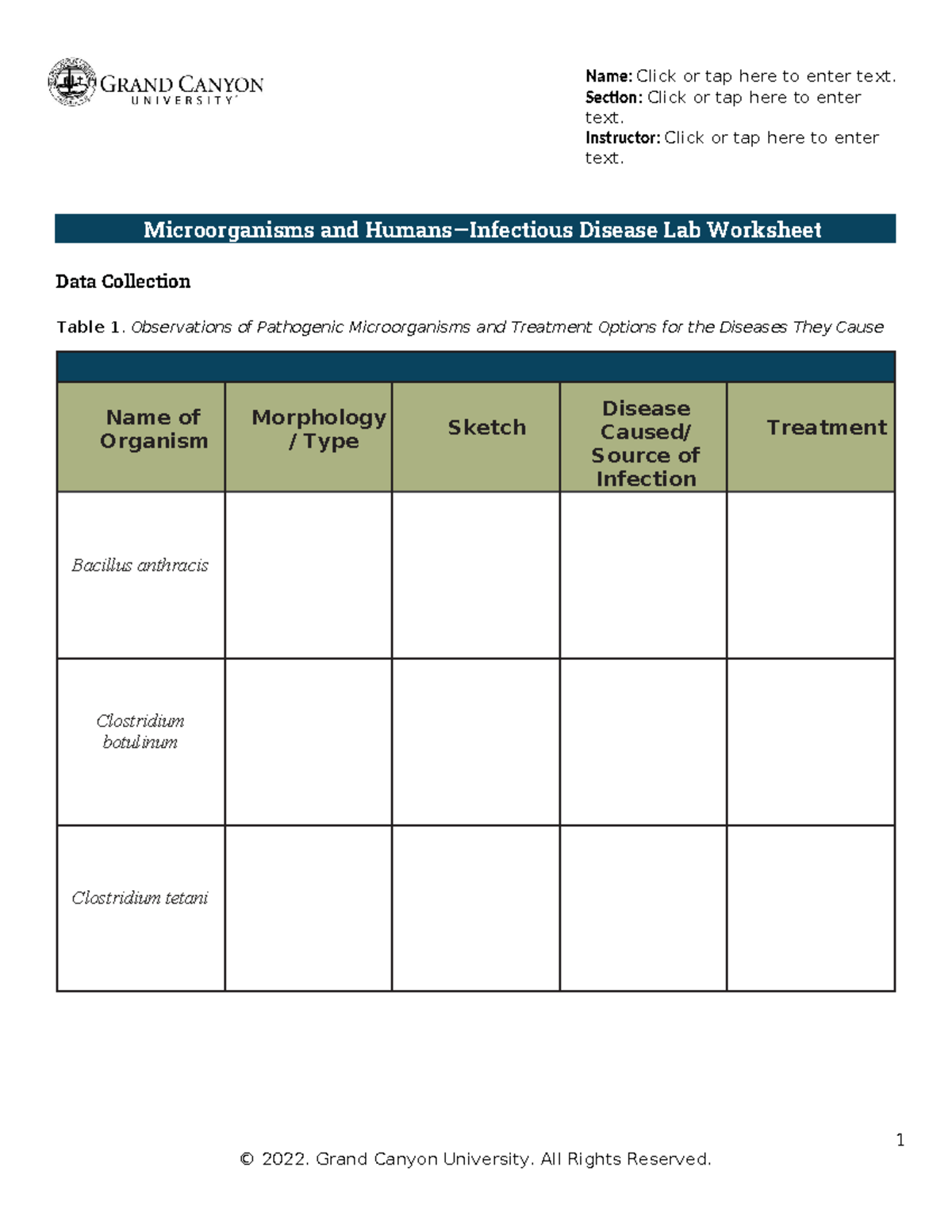 BIO 205L RS Microorg Human Infectious Diseases WS Online Tradonline ...