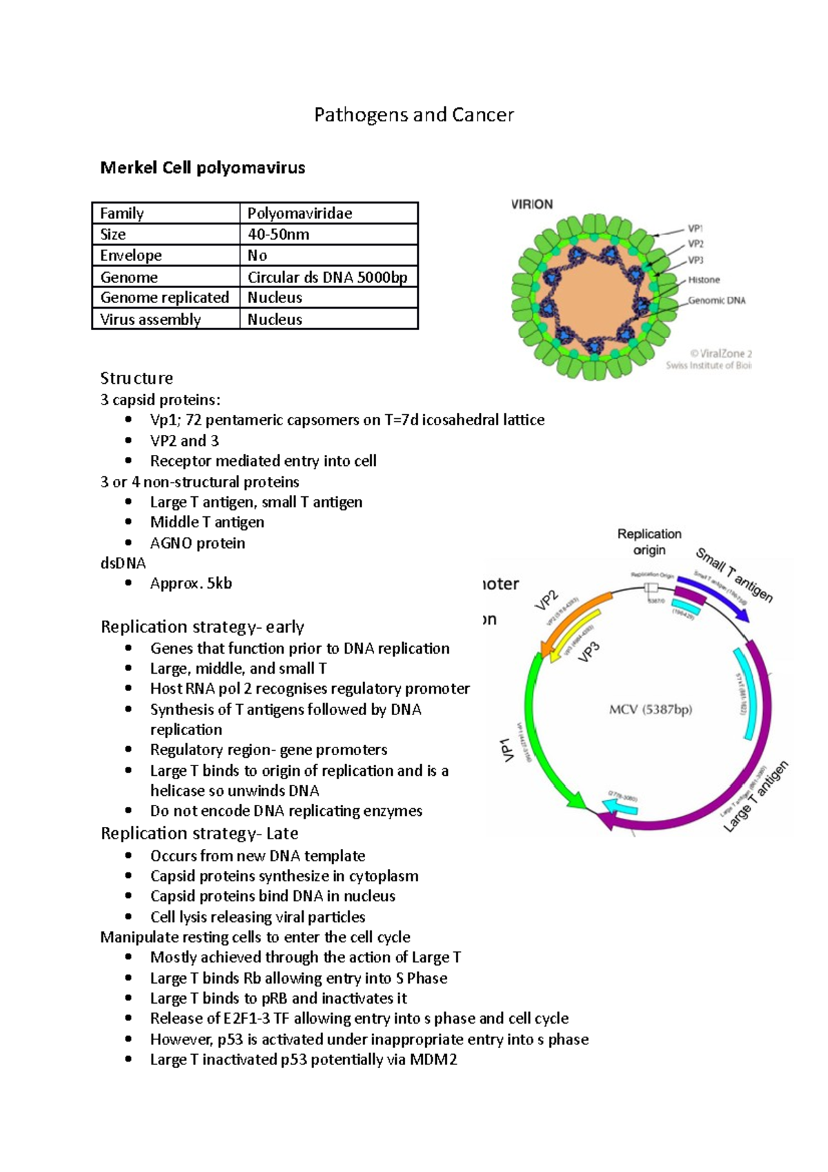 Pathogens and Cancer - Pathogens and Cancer Merkel Cell polyomavirus ...