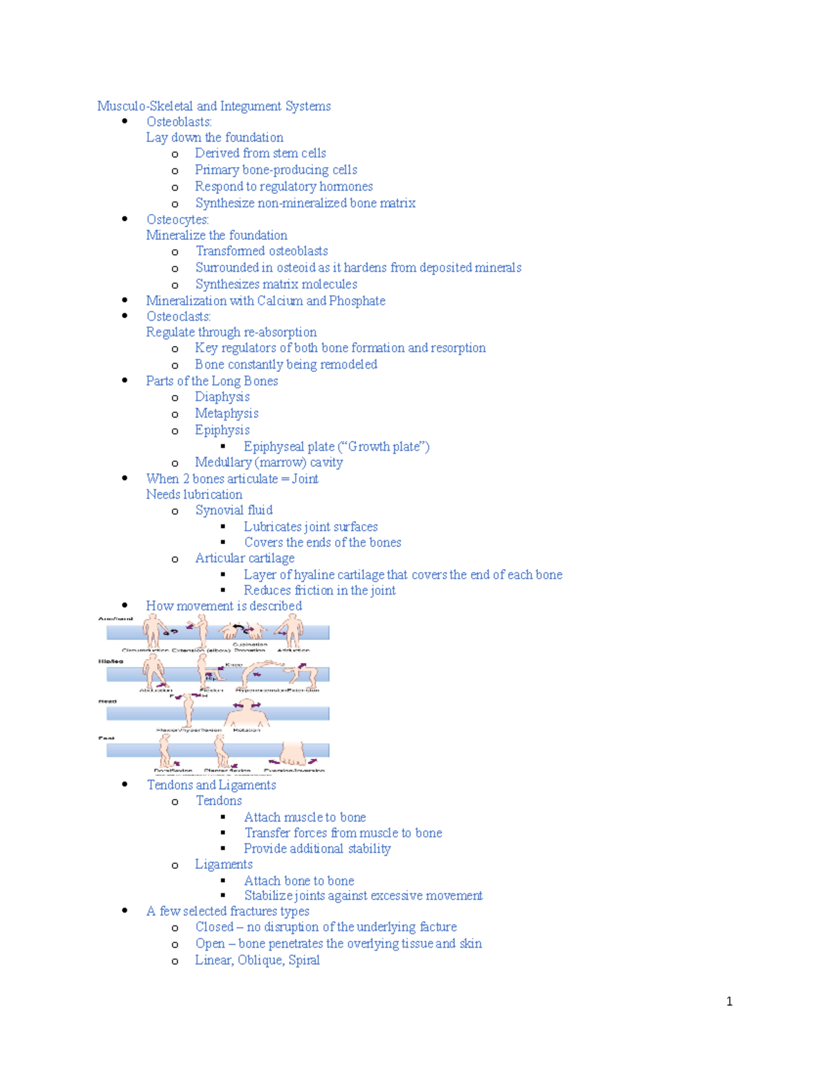 Musc-Skel and Skin Outline - Musculo-Skeletal and Integument Systems ...