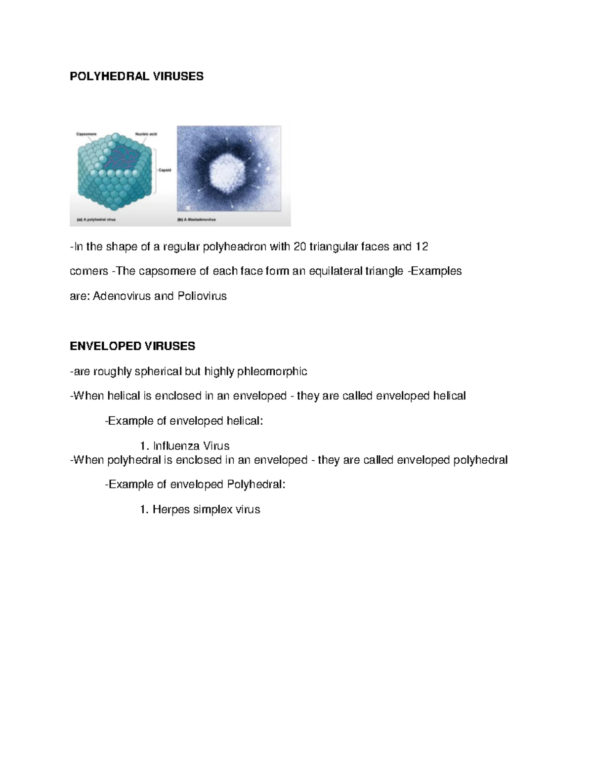 Polyhedral Viruses - POLYHEDRAL VIRUSES -In the shape of a regular ...