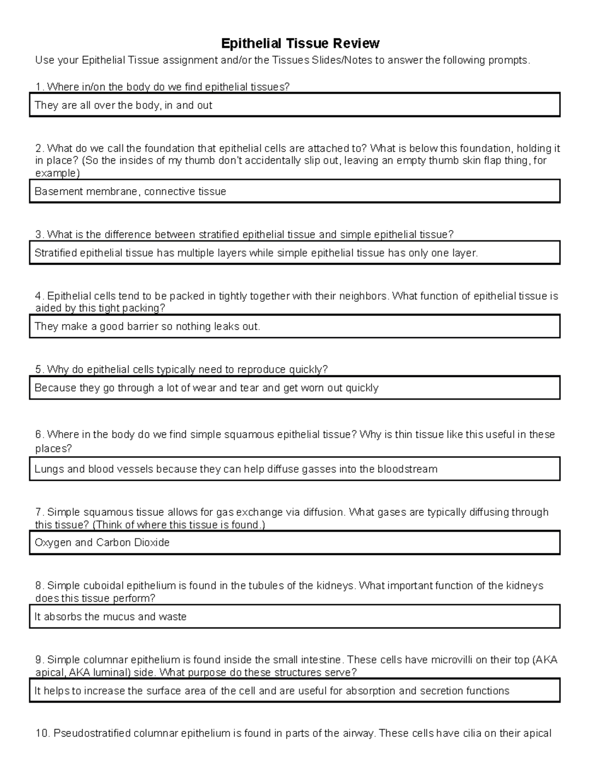 Epithelial Tissue Review 2020 - Use your Epithelial Tissue assignment ...