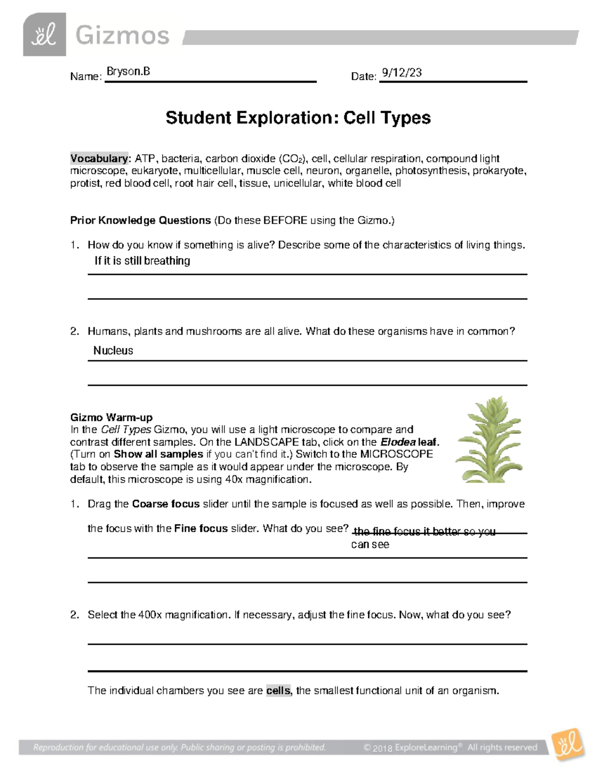 Cell Types SE - piz - Name: Date: Student Exploration: Cell Types ...