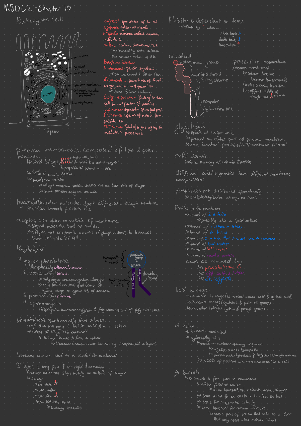 Mboc2 Chapter 10 Lecture Notes Warning Error During Font Loading Xmlrequest Is Not