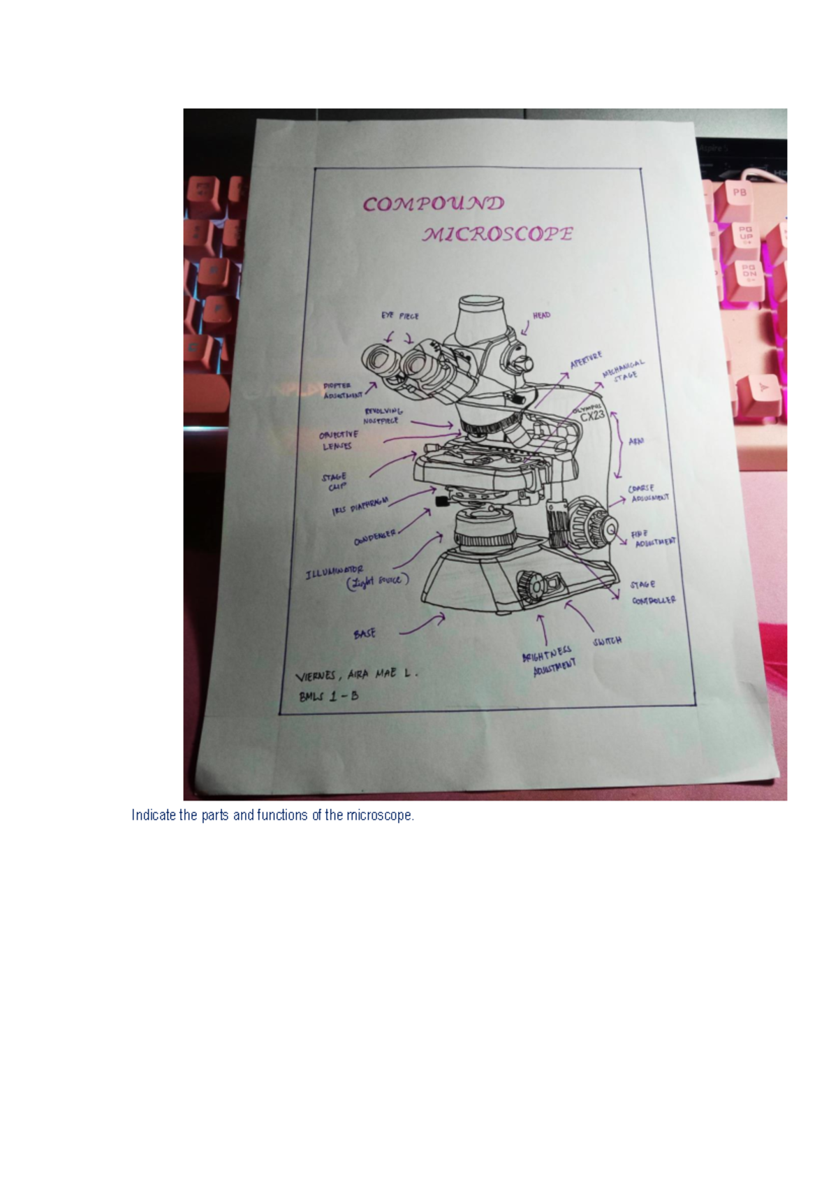 Cx23-micro - Indicate the parts and functions of the microscope. Parts ...